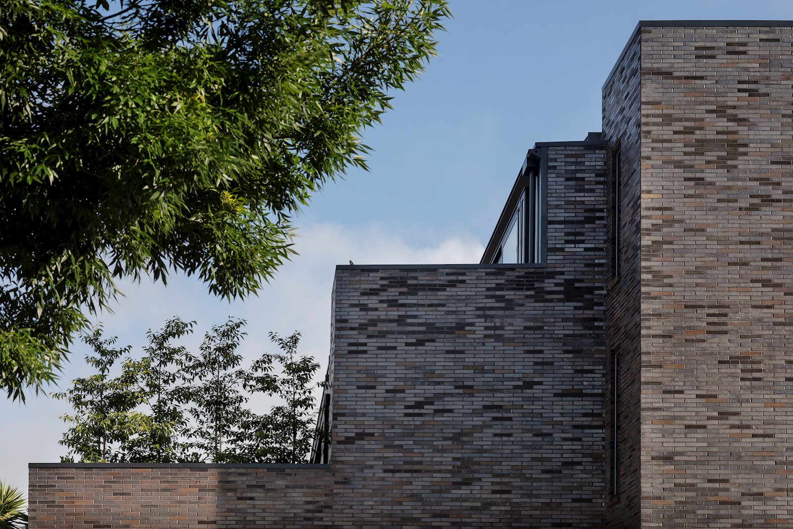 Kotiro Nui | Bull O'Sullivan Architecture