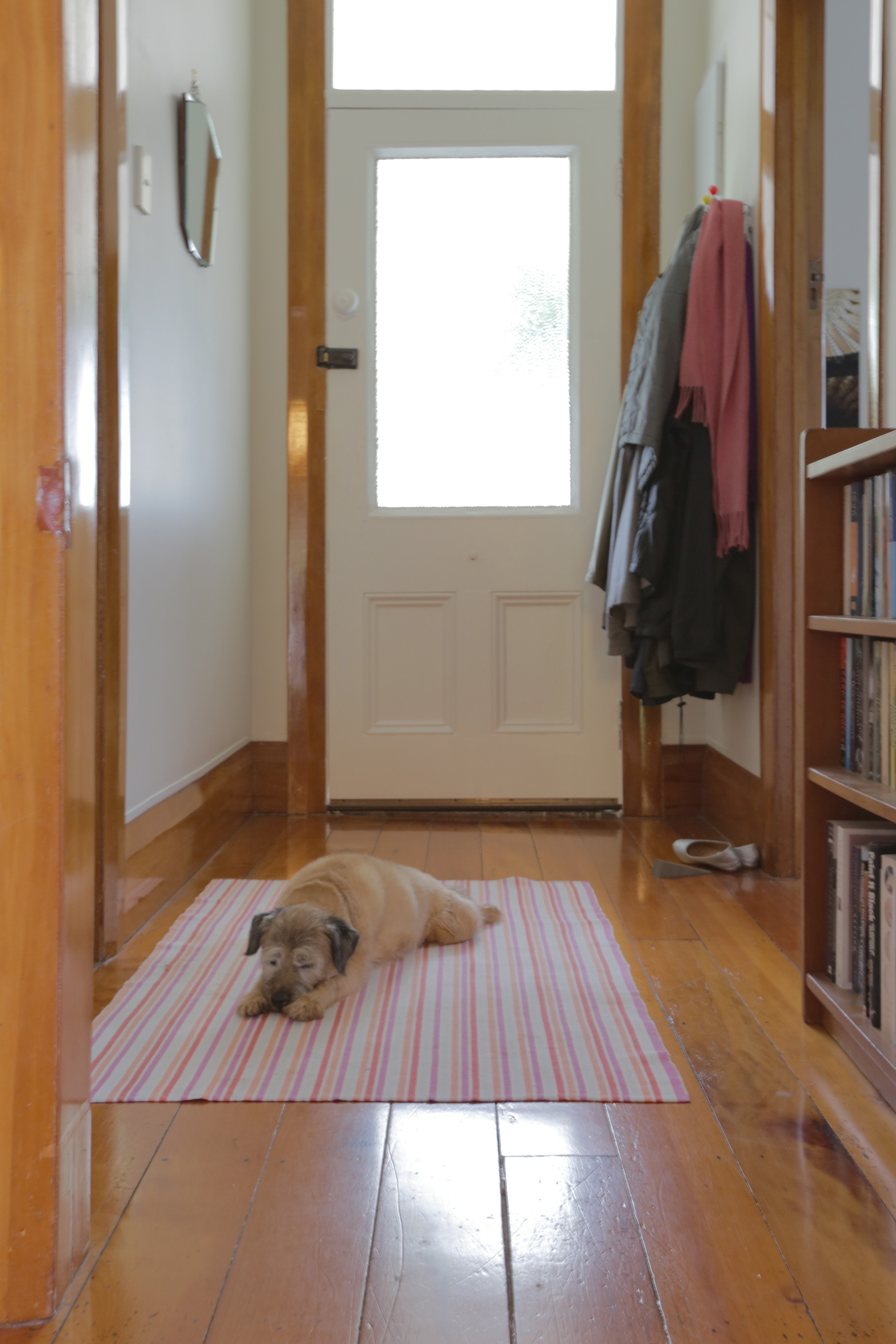 Johnston Family Home | Bull O'Sullivan Architecture