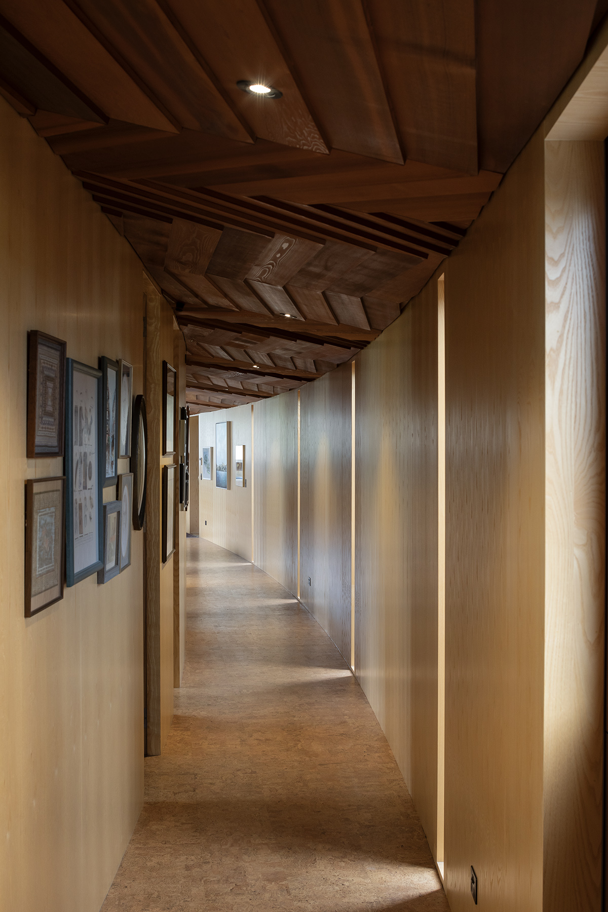 Cartwright Family Home | Bull O'Sullivan Architecture